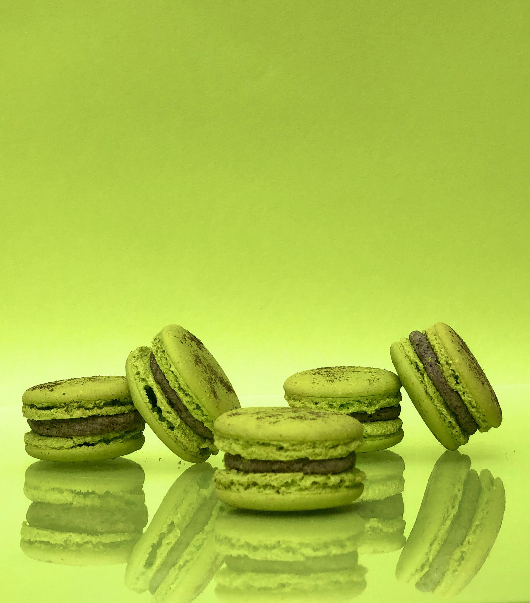 The Chocolate Paw - Nextdoor