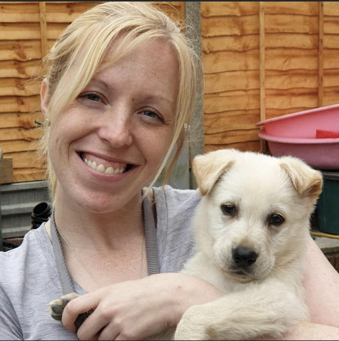 Spaniel Tamer - Nextdoor