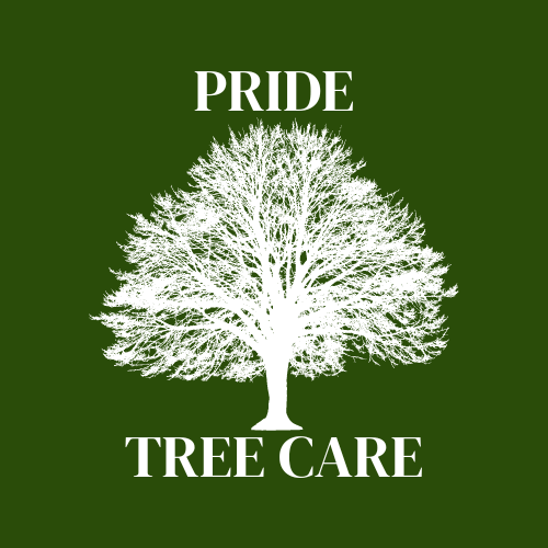 Pride Tree Care - Longfield - Nextdoor