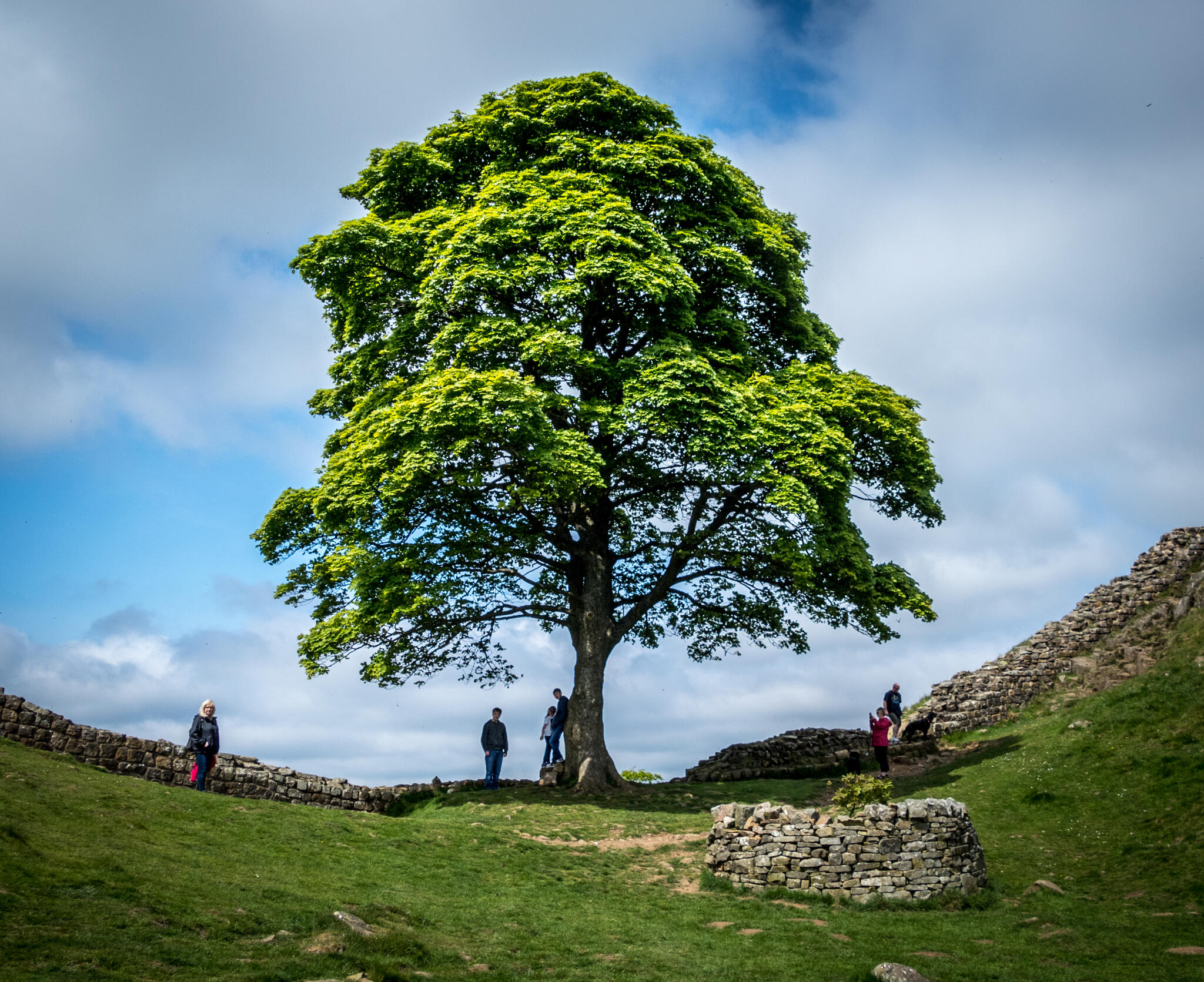 Tynedale Tech - Hexham - Nextdoor