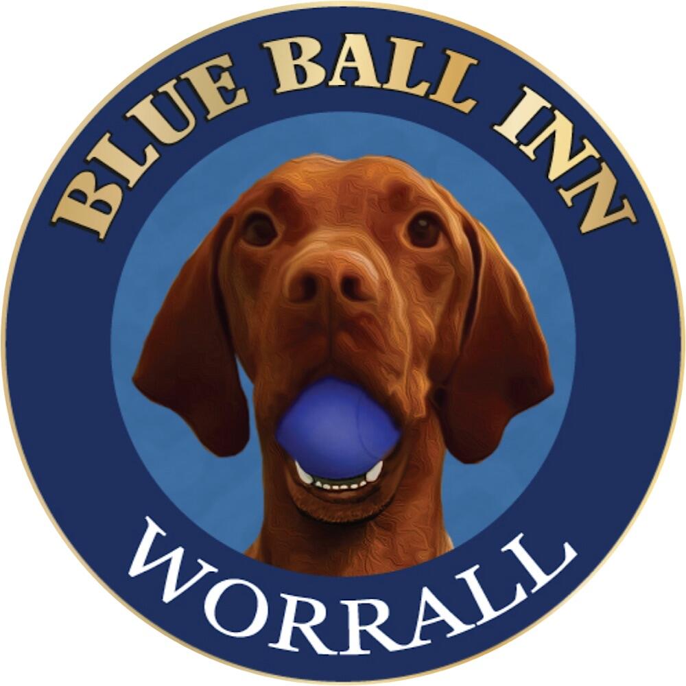 The Blue Ball Inn - Sheffield - Nextdoor