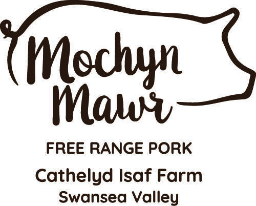 Mochyn Mawr - Swansea - Nextdoor