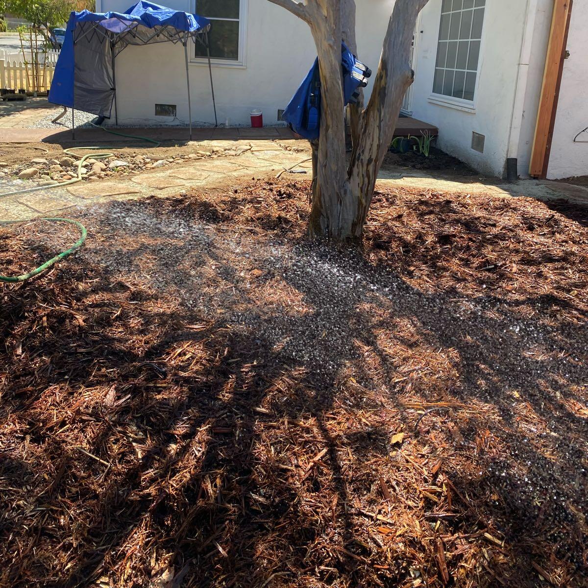 Miller Maintenance - Redding, CA - Nextdoor