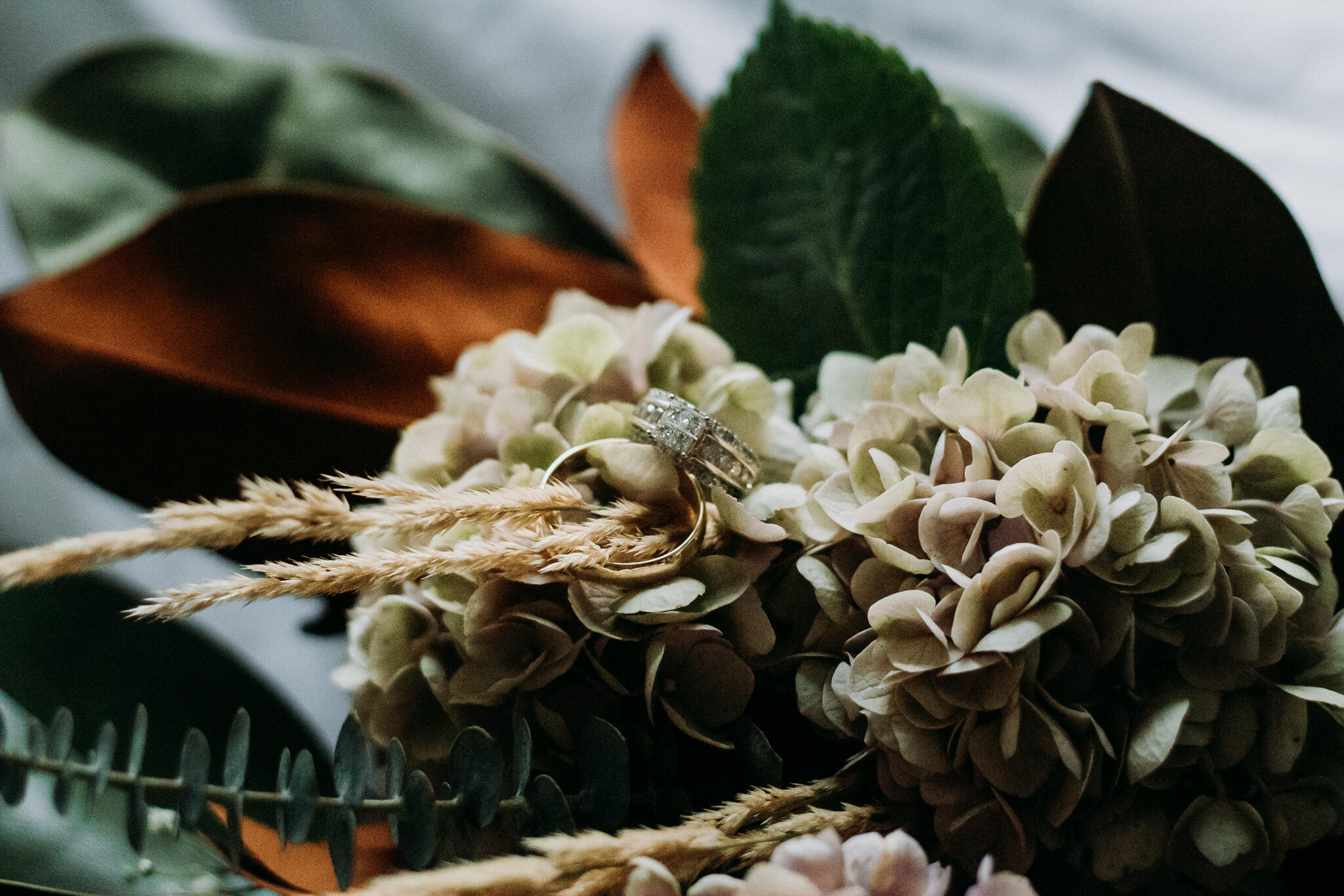 Milly James Co. - Virginia Beach, VA - Nextdoor