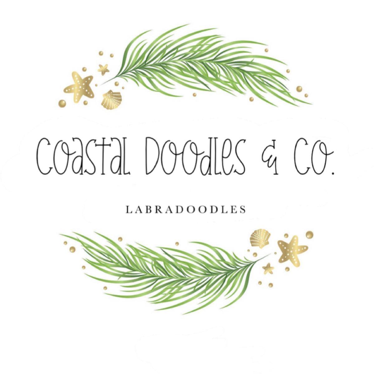 Coastal Doodles & Co. - Chesapeake, VA - Nextdoor