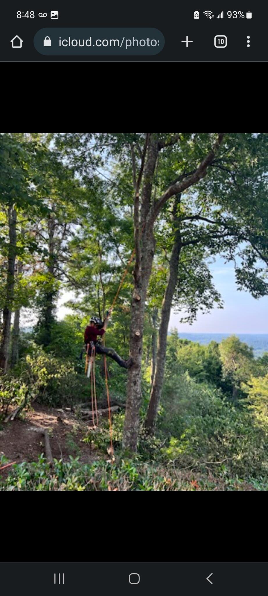 Fletchers tree care - Zirconia, NC - Nextdoor