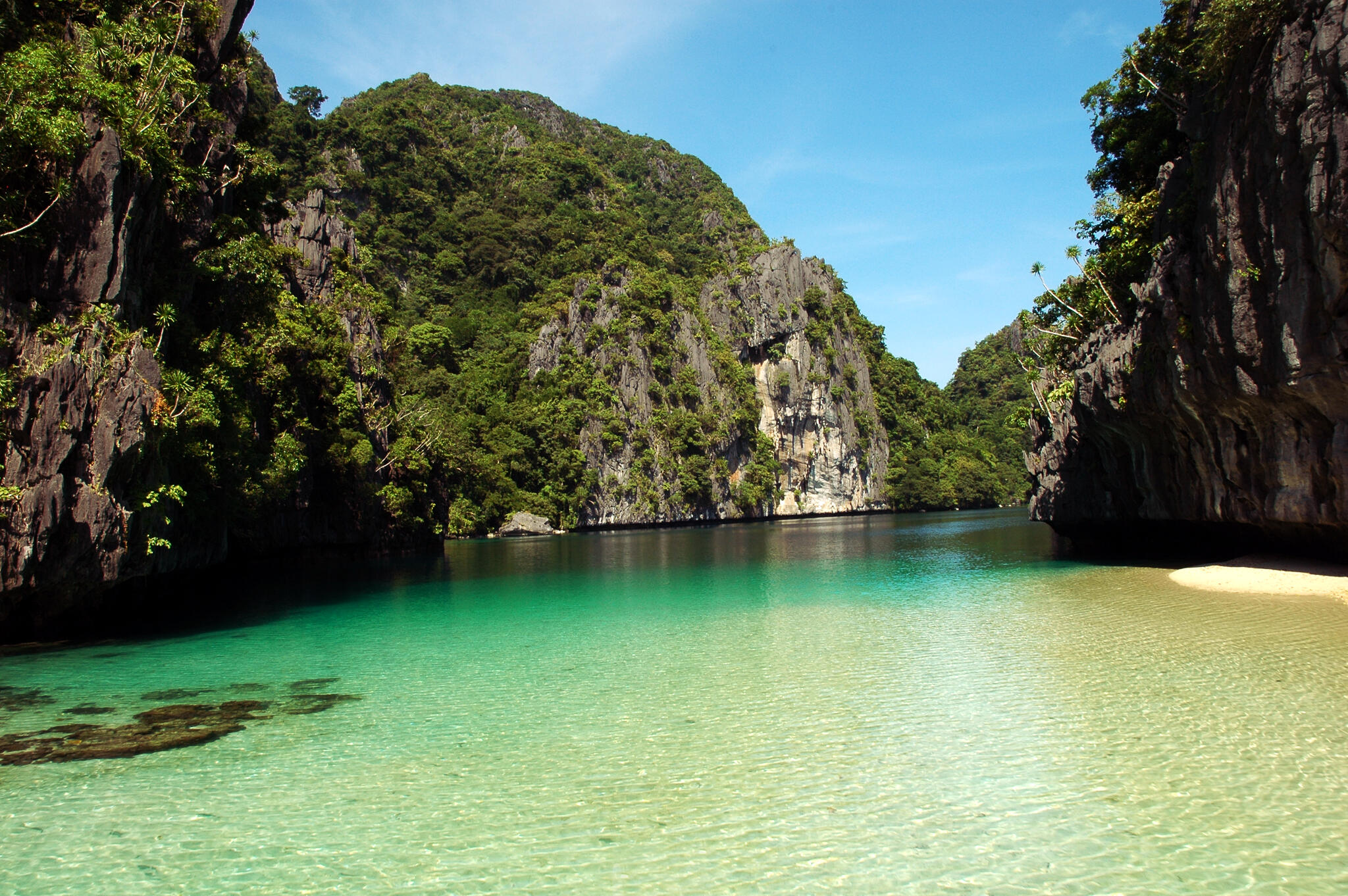 Mike Johnson Photography - Nextdoor