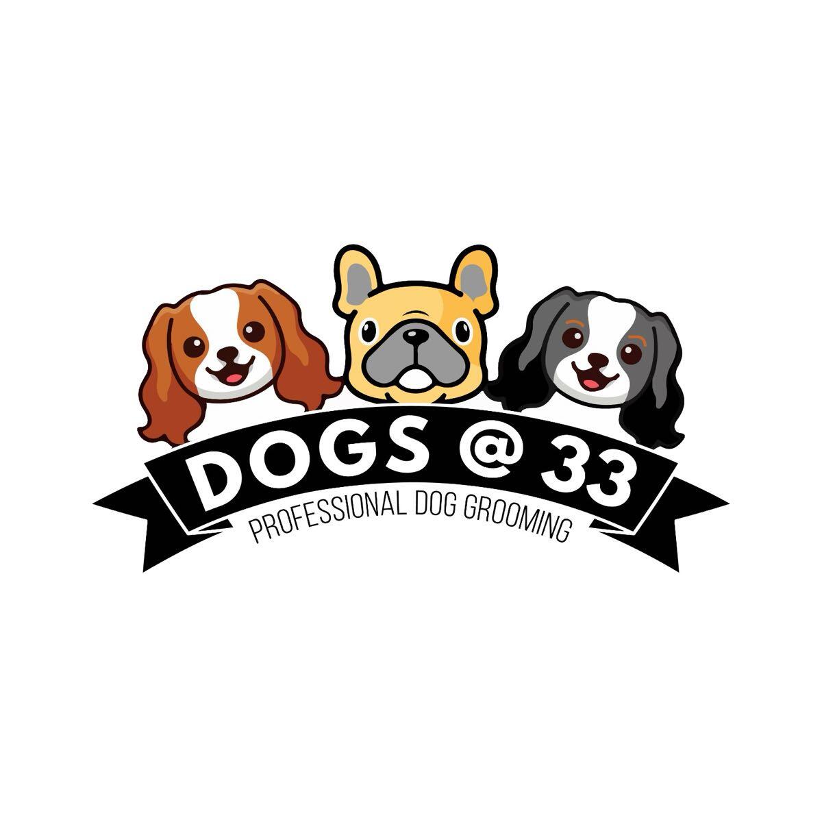 Dogs@33 Professional Dog Grooming - Corby, England - Nextdoor