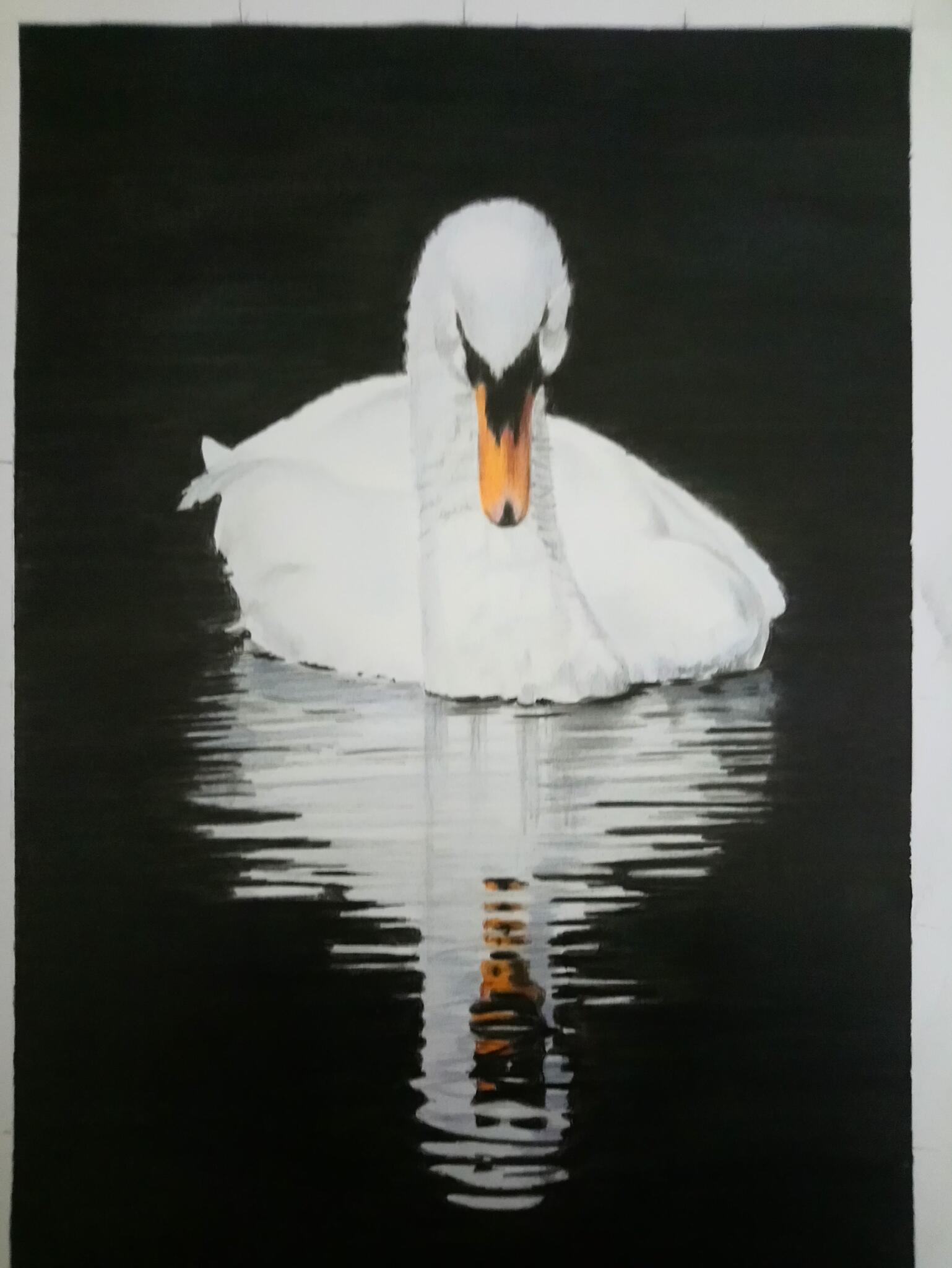 Janette Williams ART 🎨 - King's Lynn - Nextdoor