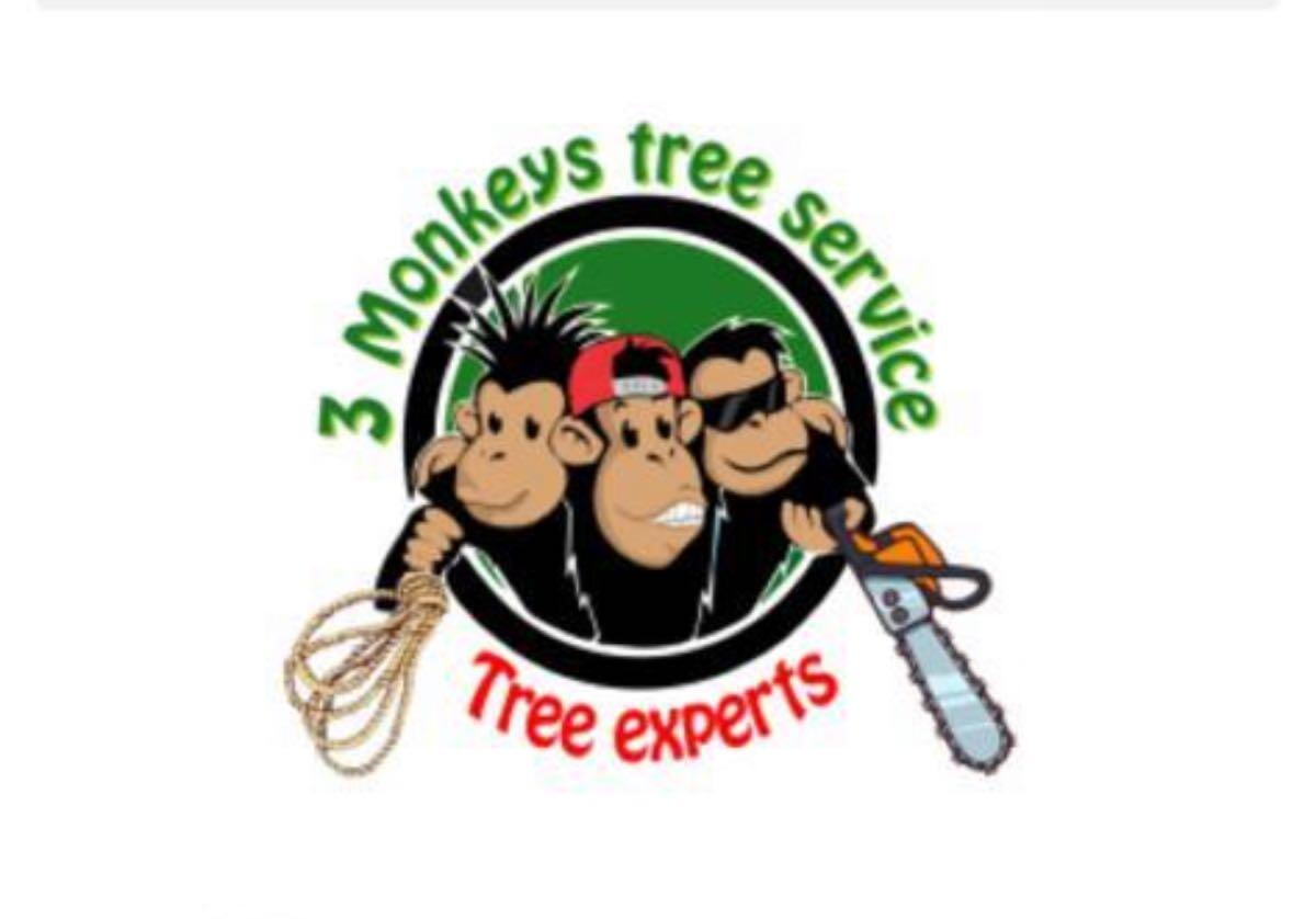 3 Monkeys Tree Service - Helotes, TX - Nextdoor