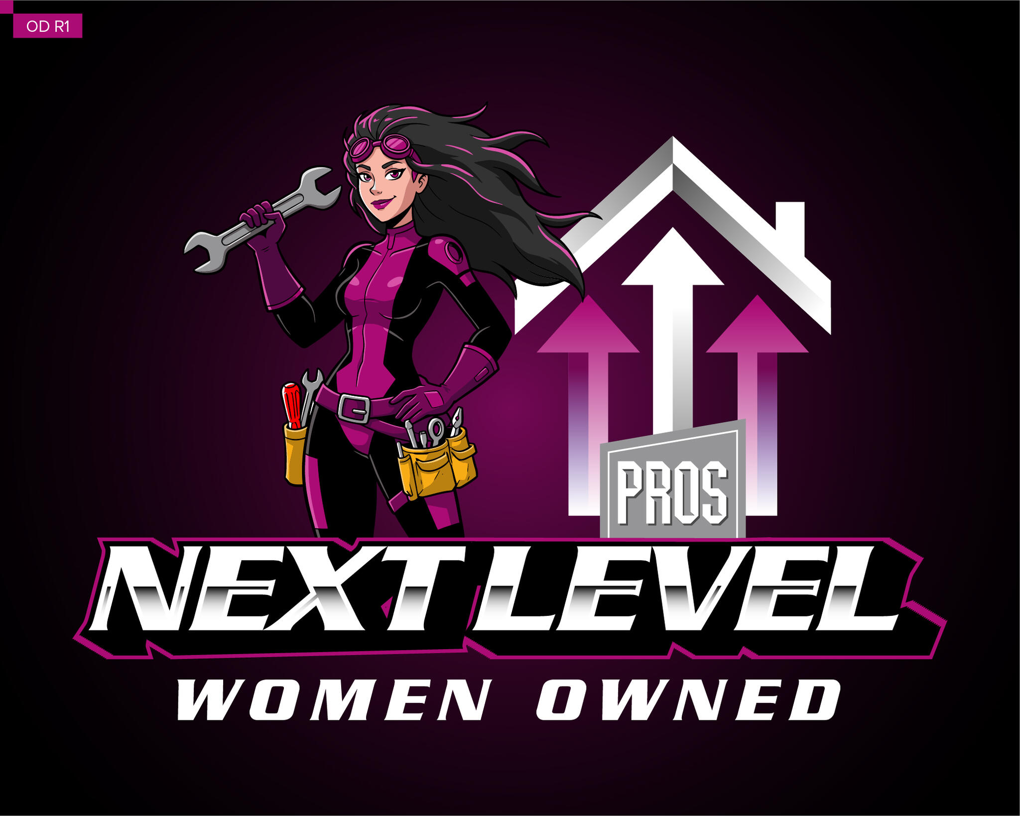 NEXT LEVEL PROS - Lakewood, CO - Nextdoor