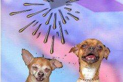 Smoochie Poochie - Apache Junction, AZ - Nextdoor