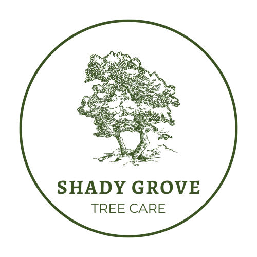Shady Grove Tree Care LLC - South Portland, ME - Nextdoor