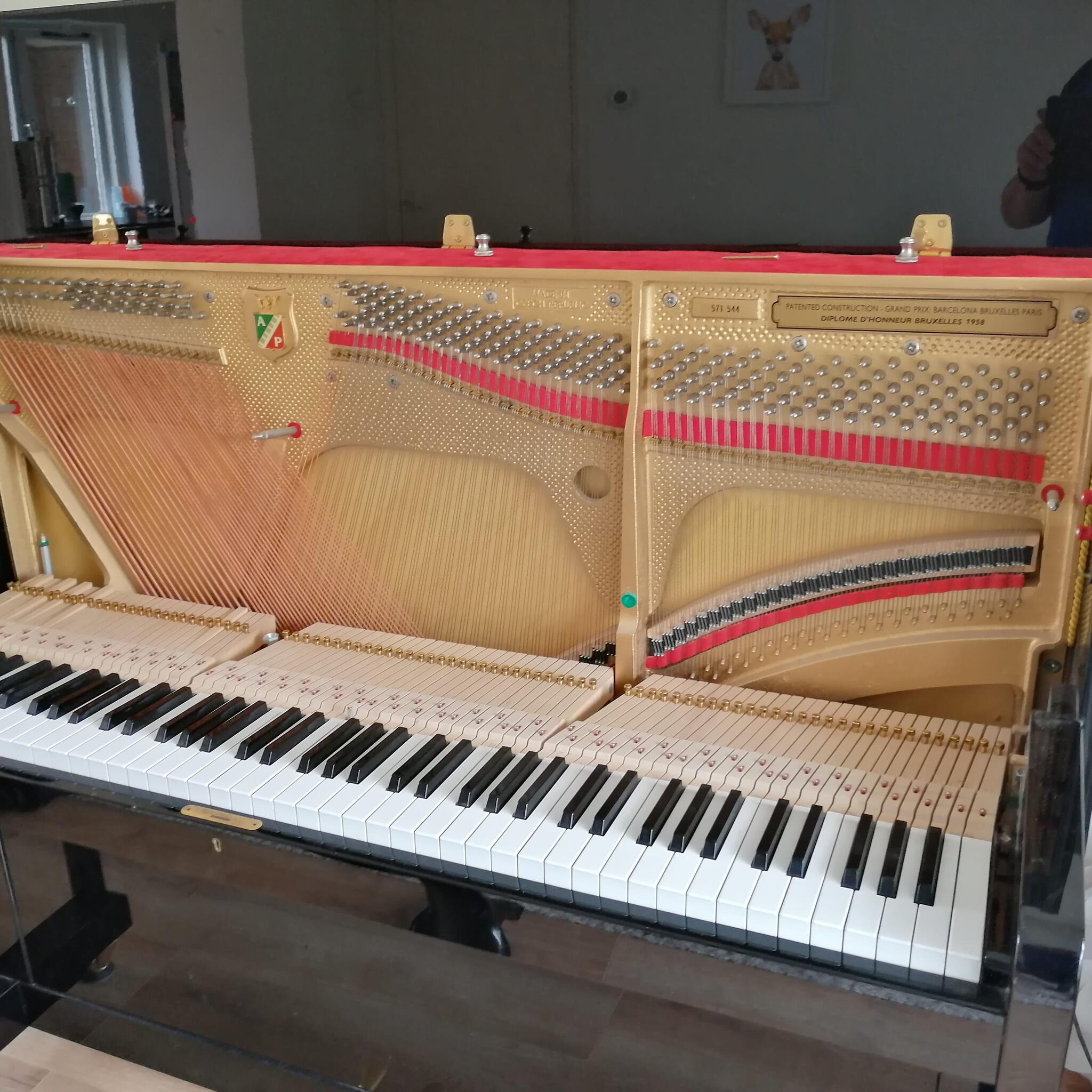 Pianostemmer / Orgelmaker Nijland - Nextdoor