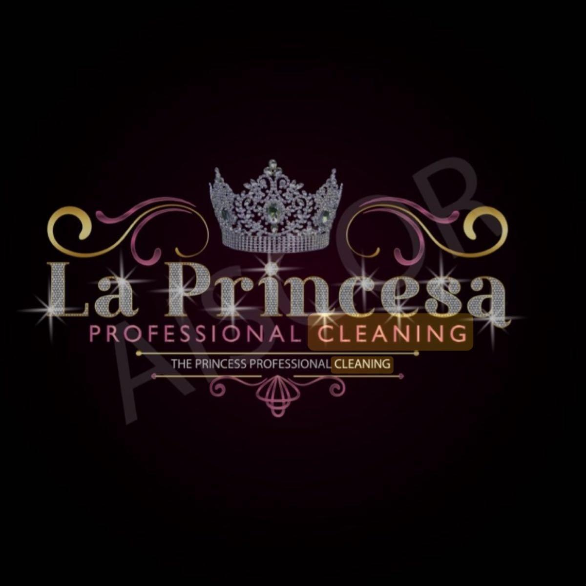 La Princessa Professional House Cleaning - Nextdoor