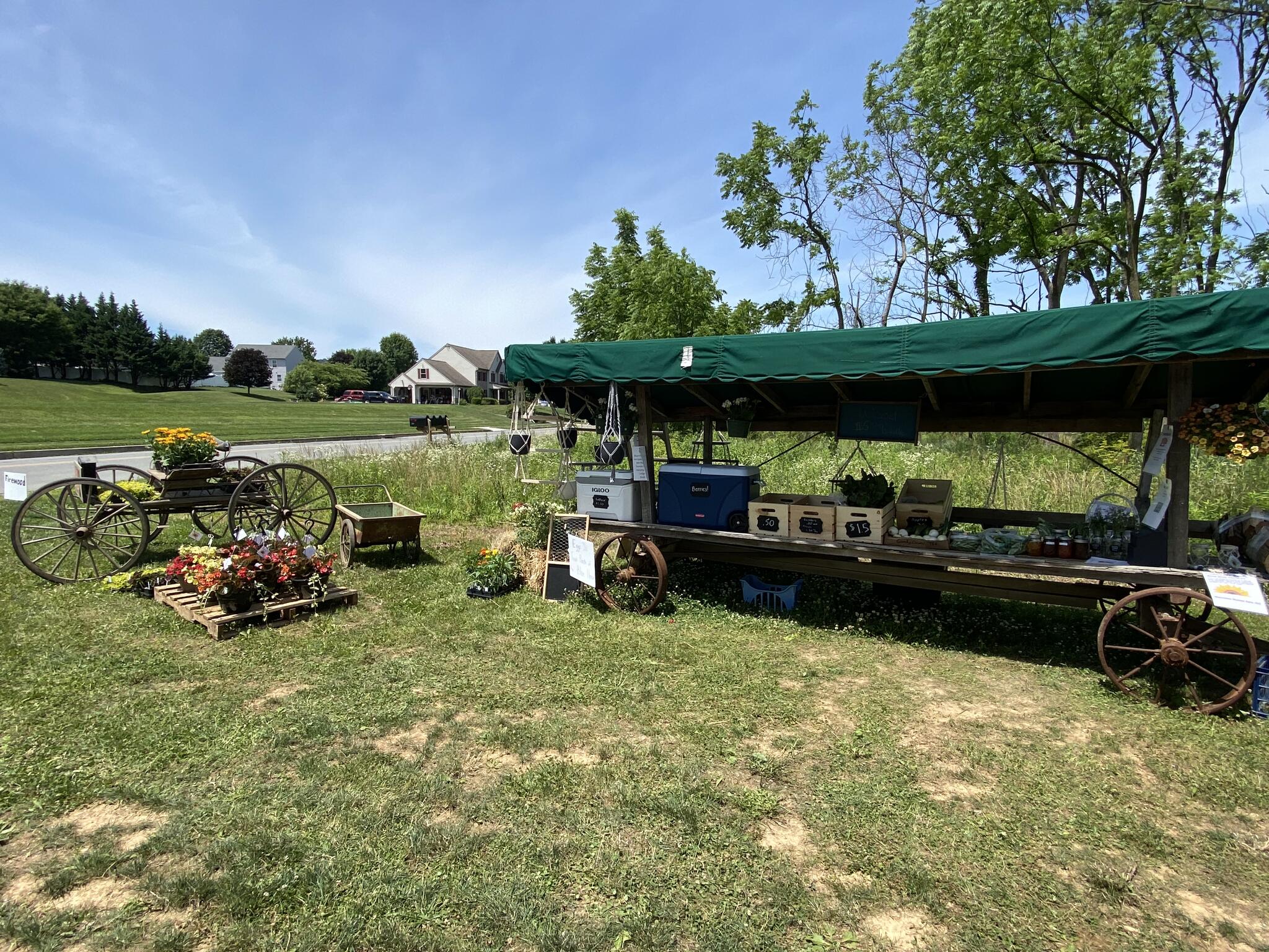 White Clover Farm - York, PA - Nextdoor