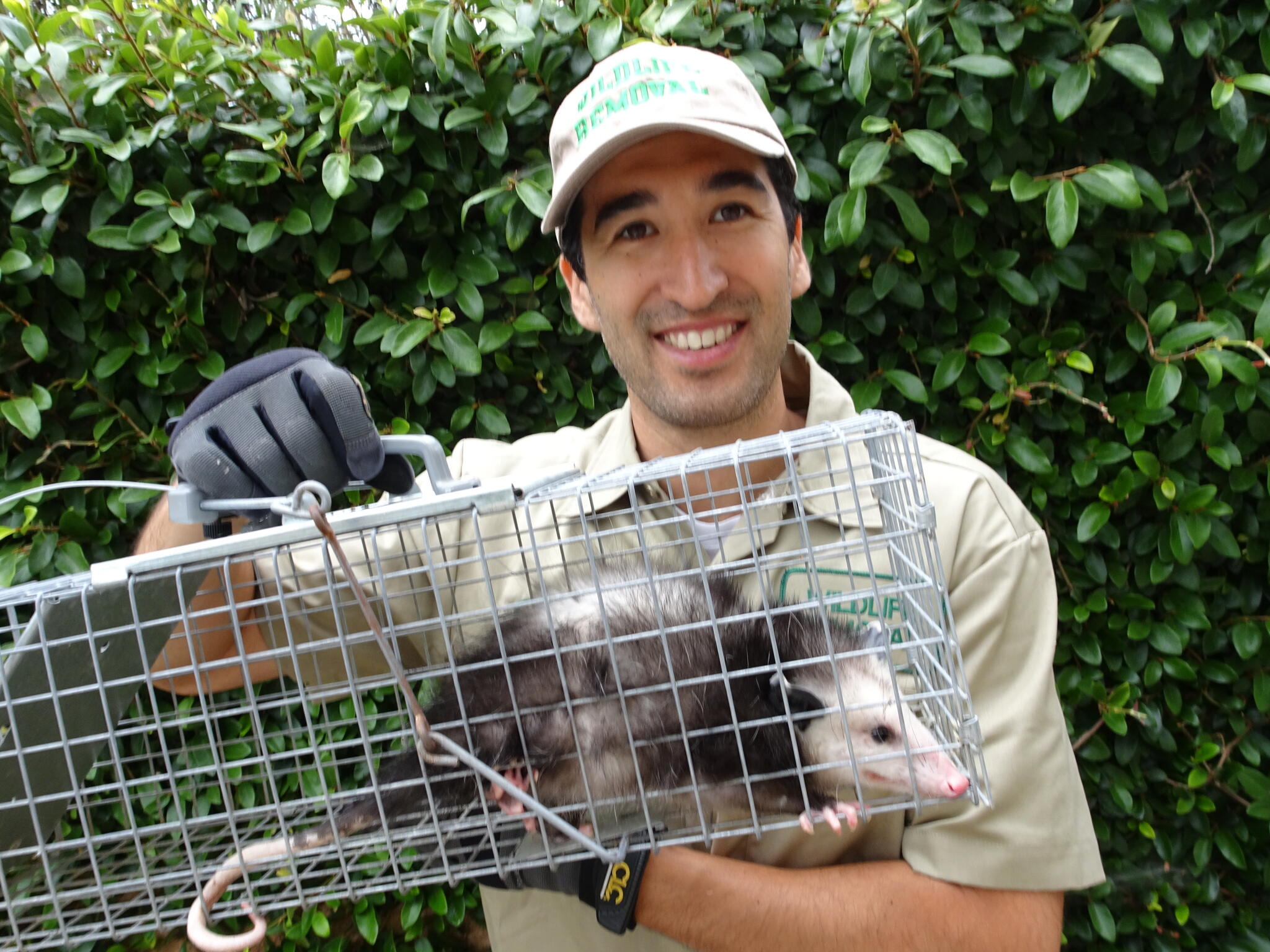 Wildlife Trapping Professionals - Nextdoor