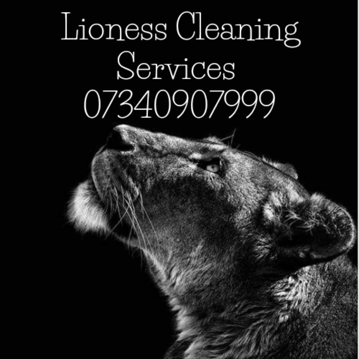 Lioness cleaing - Oldbury, GB-ENG - Nextdoor