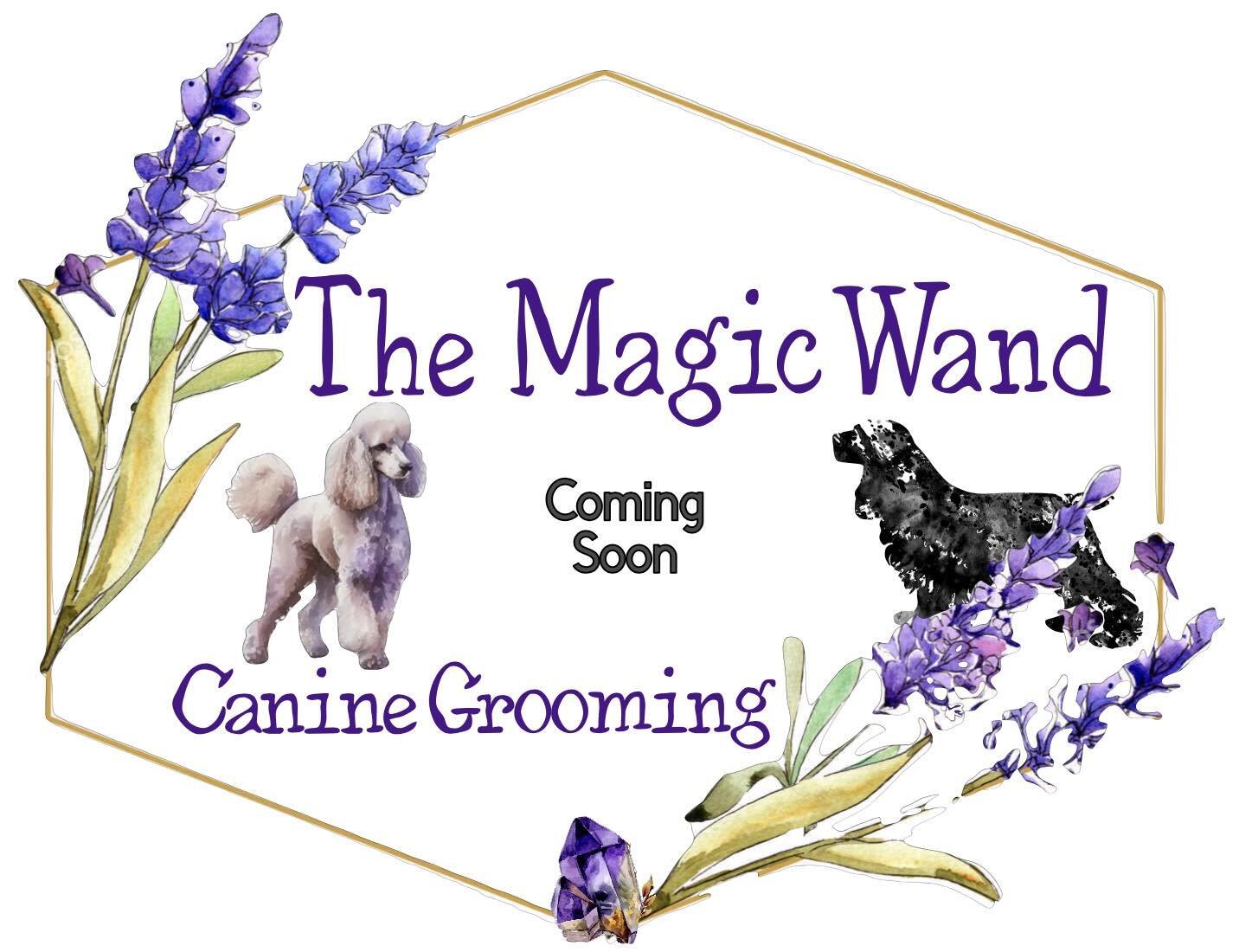 The Magic Wand - Professional Canine Grooming - Kewaunee, WI - Nextdoor