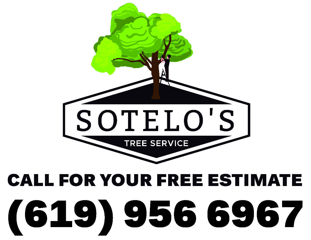 Sotelo Tree Service - Nextdoor