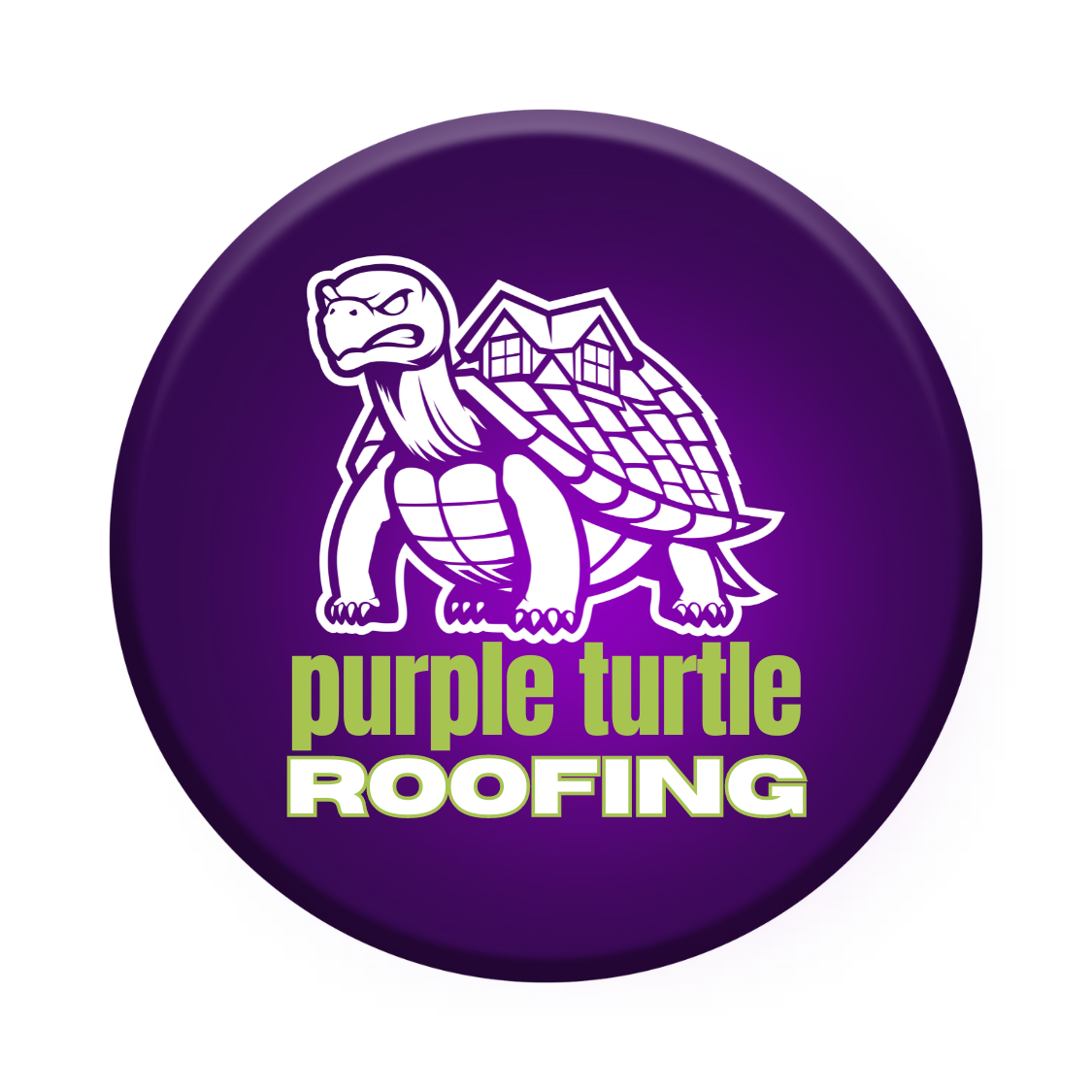 Purple Turtle Logo