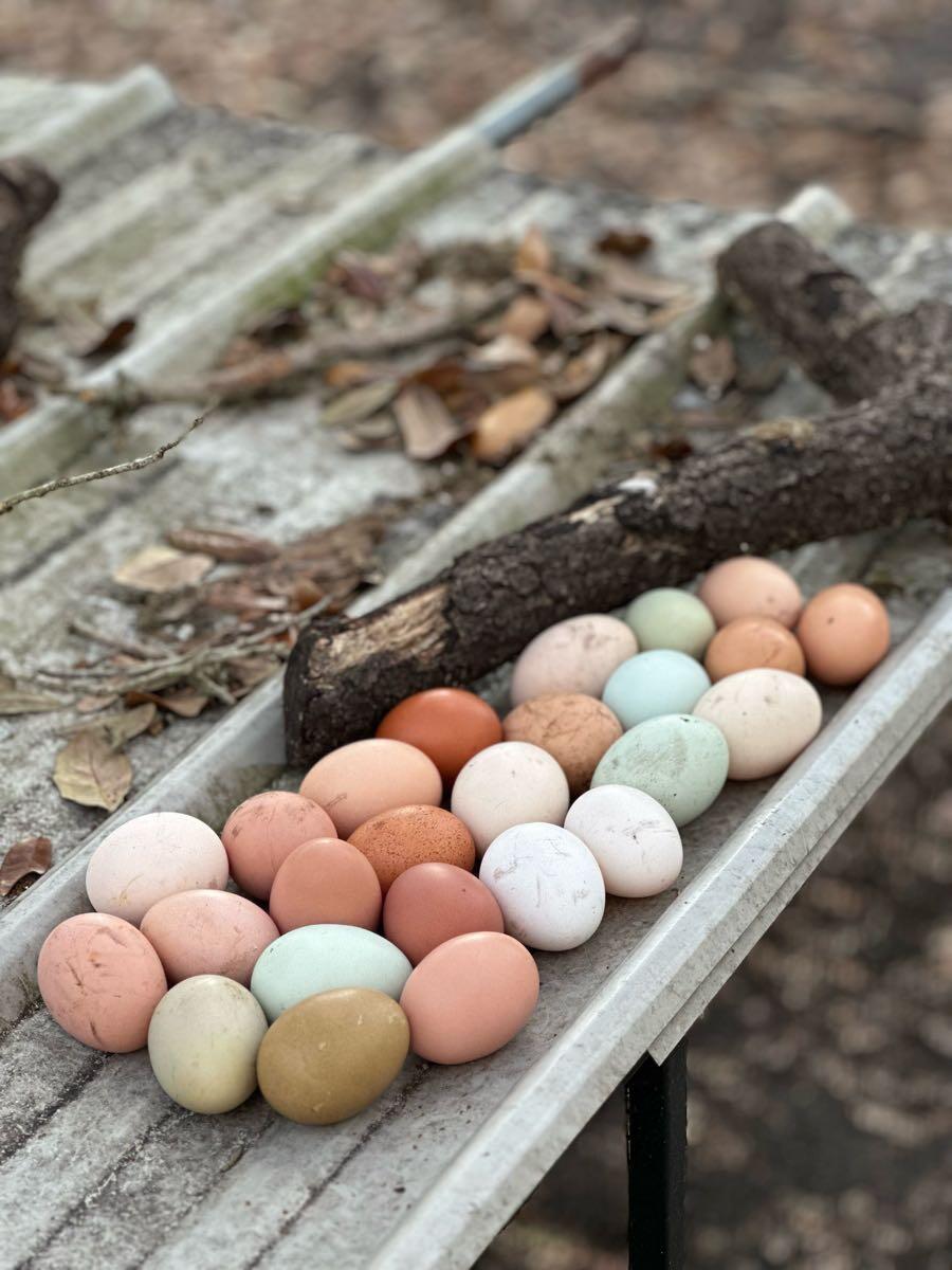 Round Hill Ranch - Nextdoor