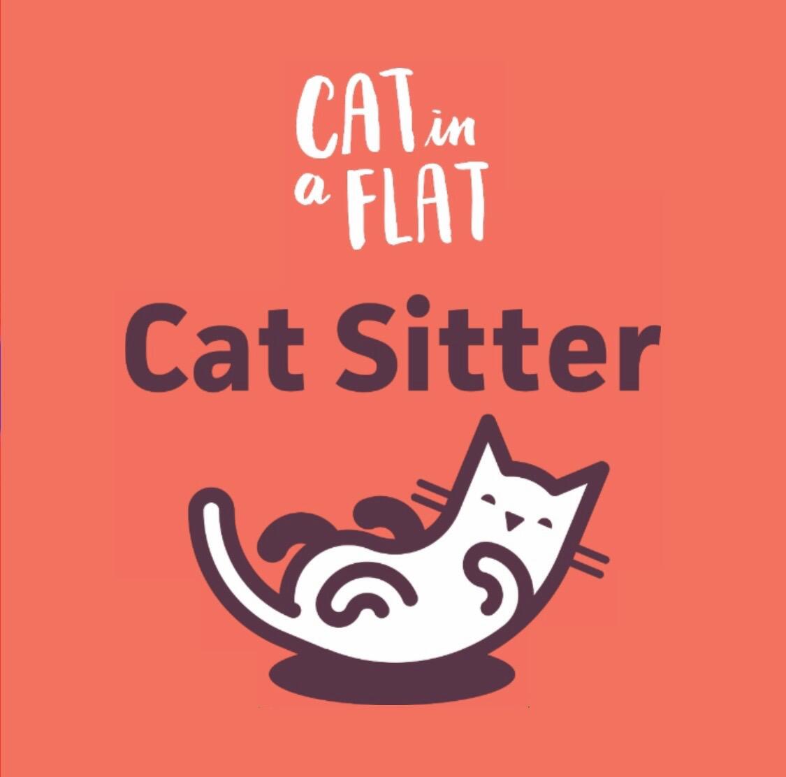 Cat in a Flat - Rachel’s Cat Sitting Services - Nextdoor