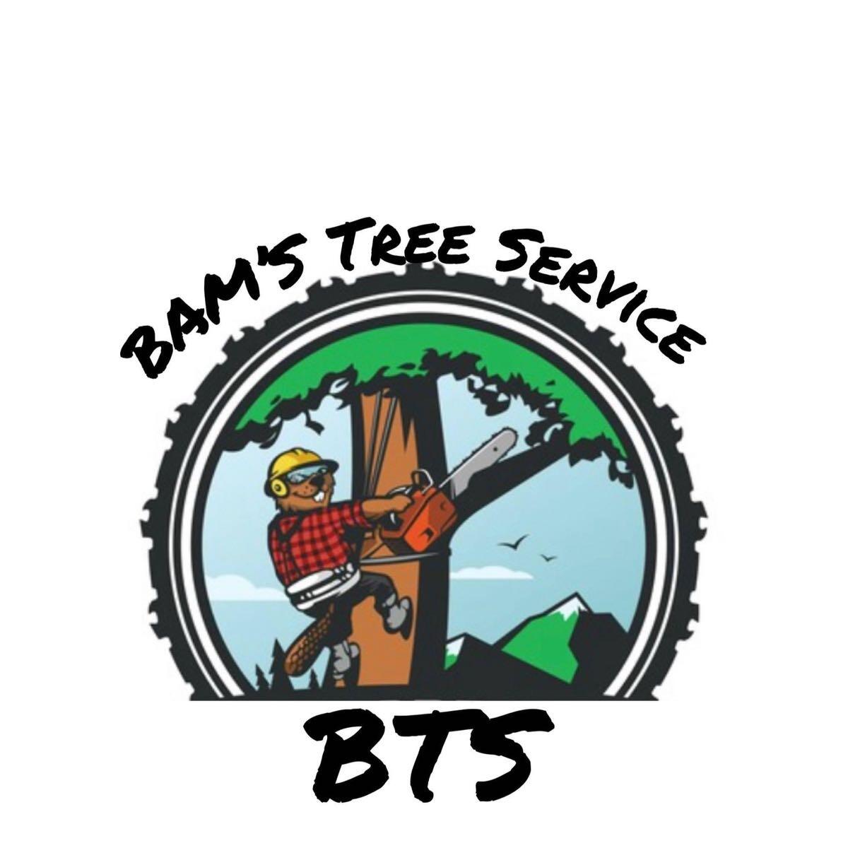 BAMS Tree Services - Jefferson, GA - Nextdoor