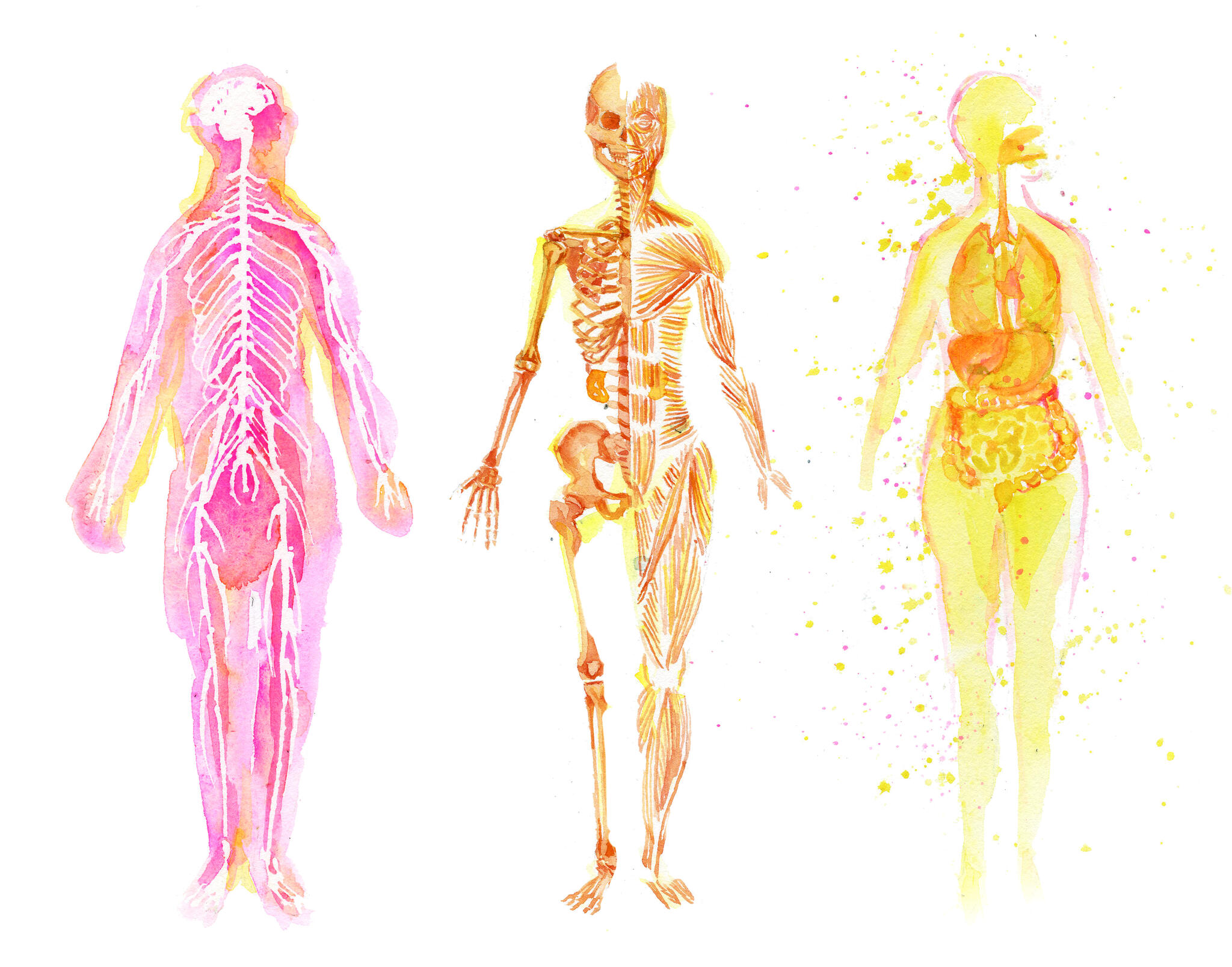 Errin LaVaque Integrative Somatic Therapies - Ann Arbor, MI - Nextdoor