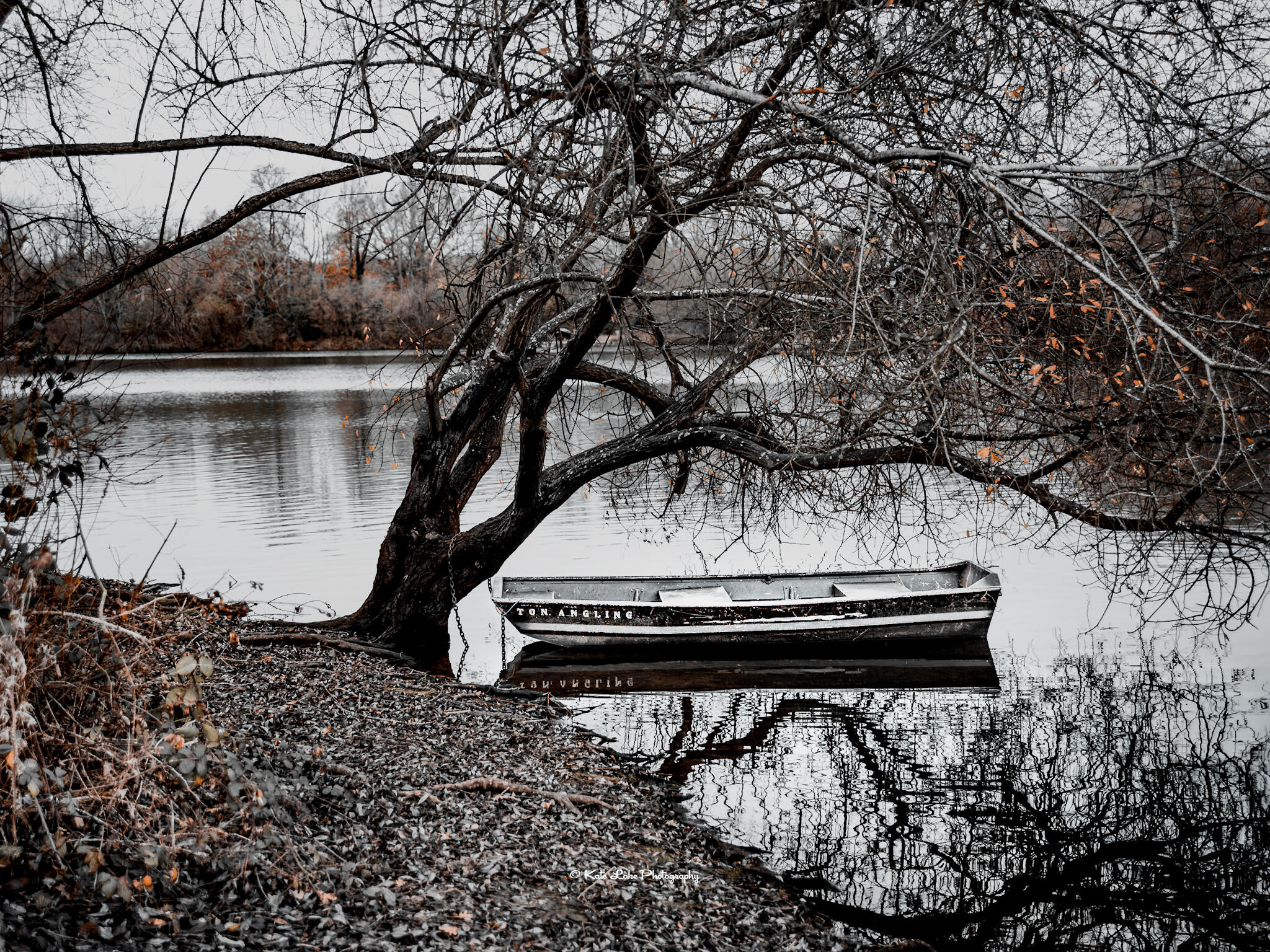 Kate Lake Photography - Nextdoor