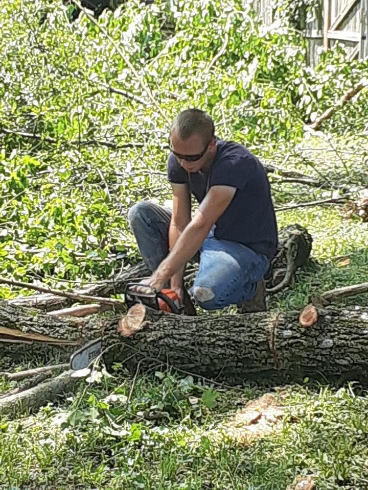 Brandon's Tree Service - Nextdoor