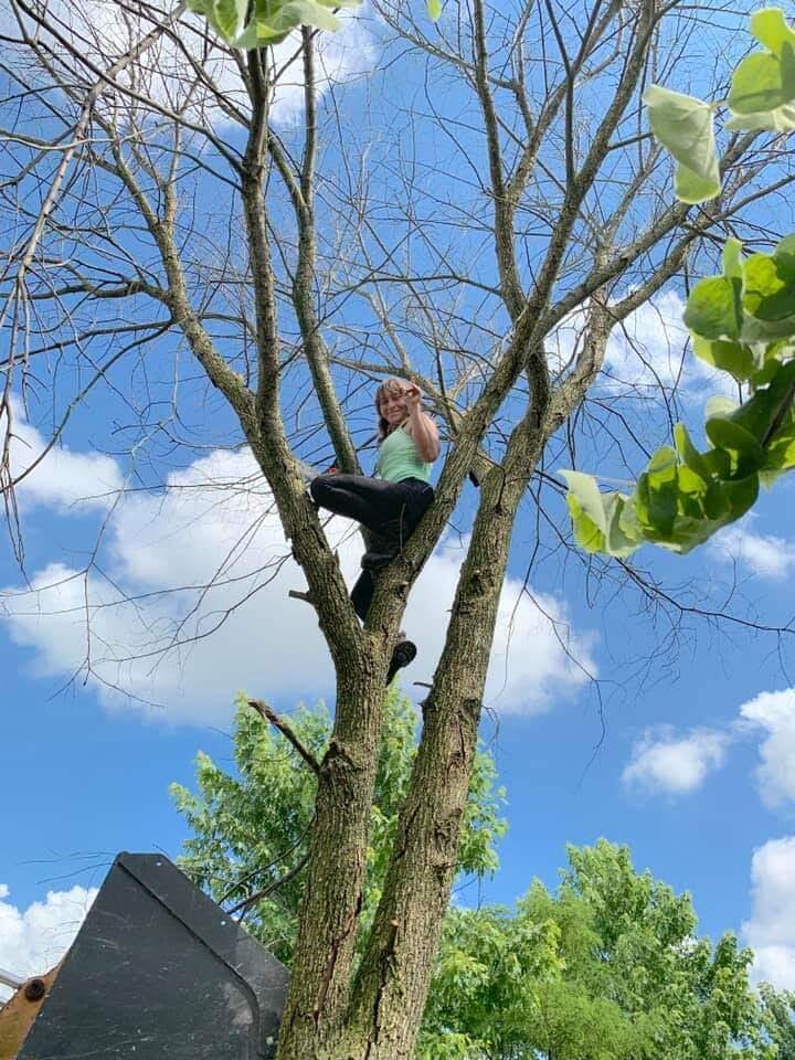 J & J Tree Service & More - Nextdoor