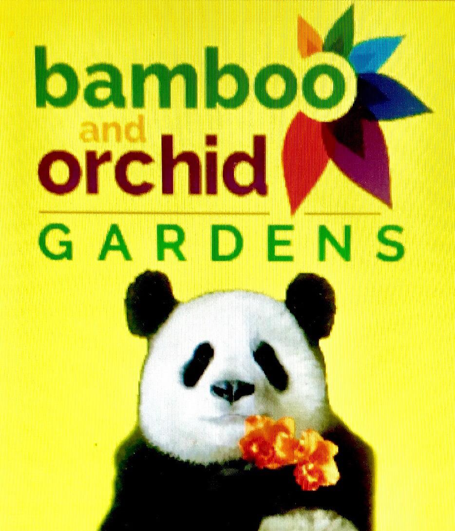 Bamboo Gardens Davie | Fasci Garden
