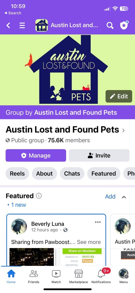 Austin Lost And Found Pets - Nextdoor