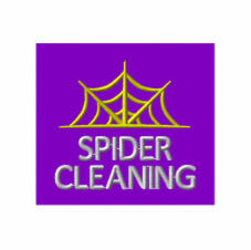 Spider Cleaning LTD - Bristol - Nextdoor