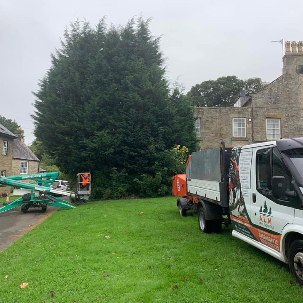 A.L.M tree services - Sunderland - Nextdoor