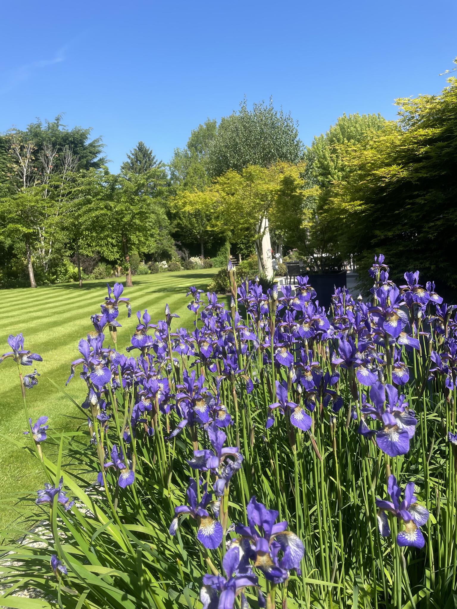 Caesar Garden Service - Woking, England - Nextdoor