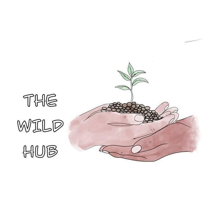 The Wild Hub - Nextdoor