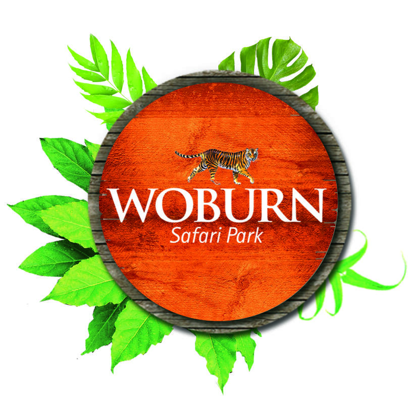 Woburn Safari Park - Bedford, GB-ENG - Nextdoor