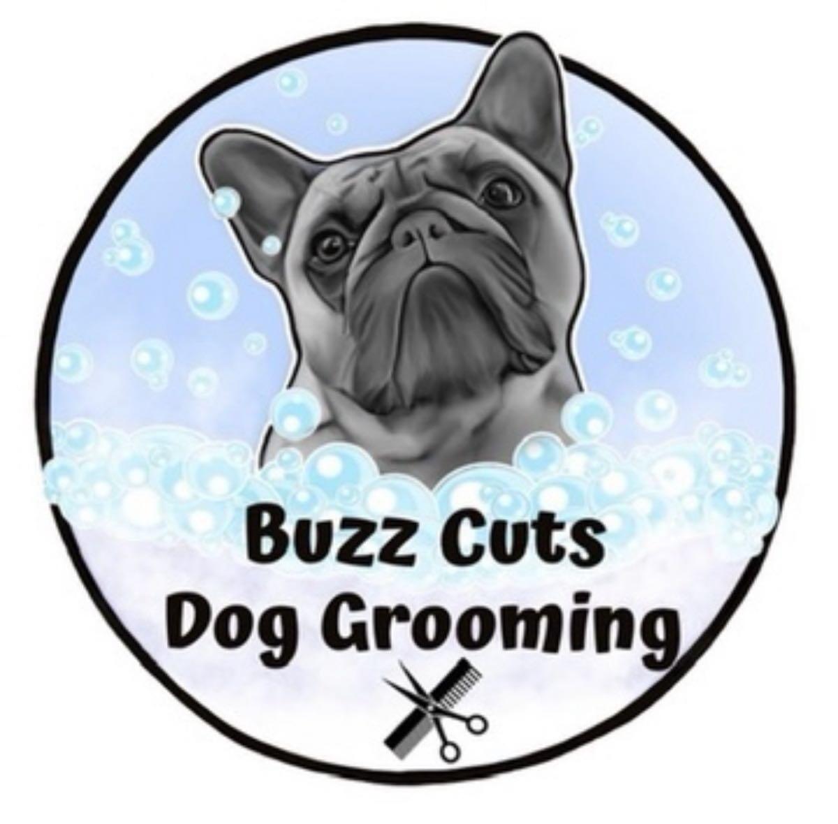 Buzz Cuts Dog Grooming - Tadworth, England - Nextdoor