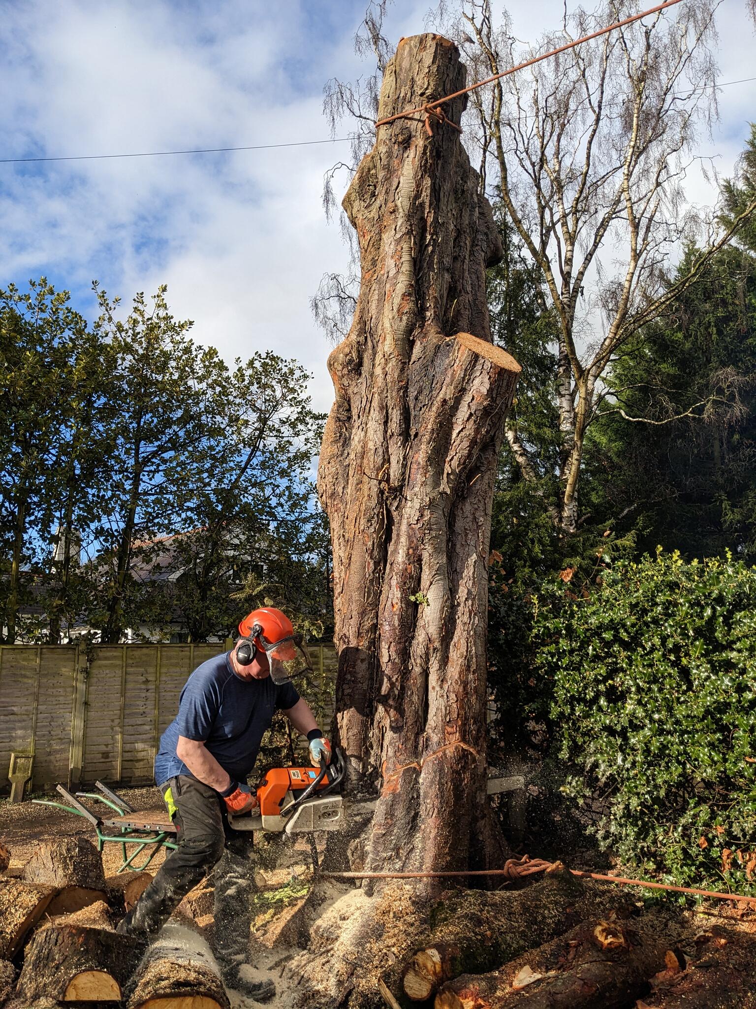 ARB Tree Services - Carlisle, GB-ENG - Nextdoor