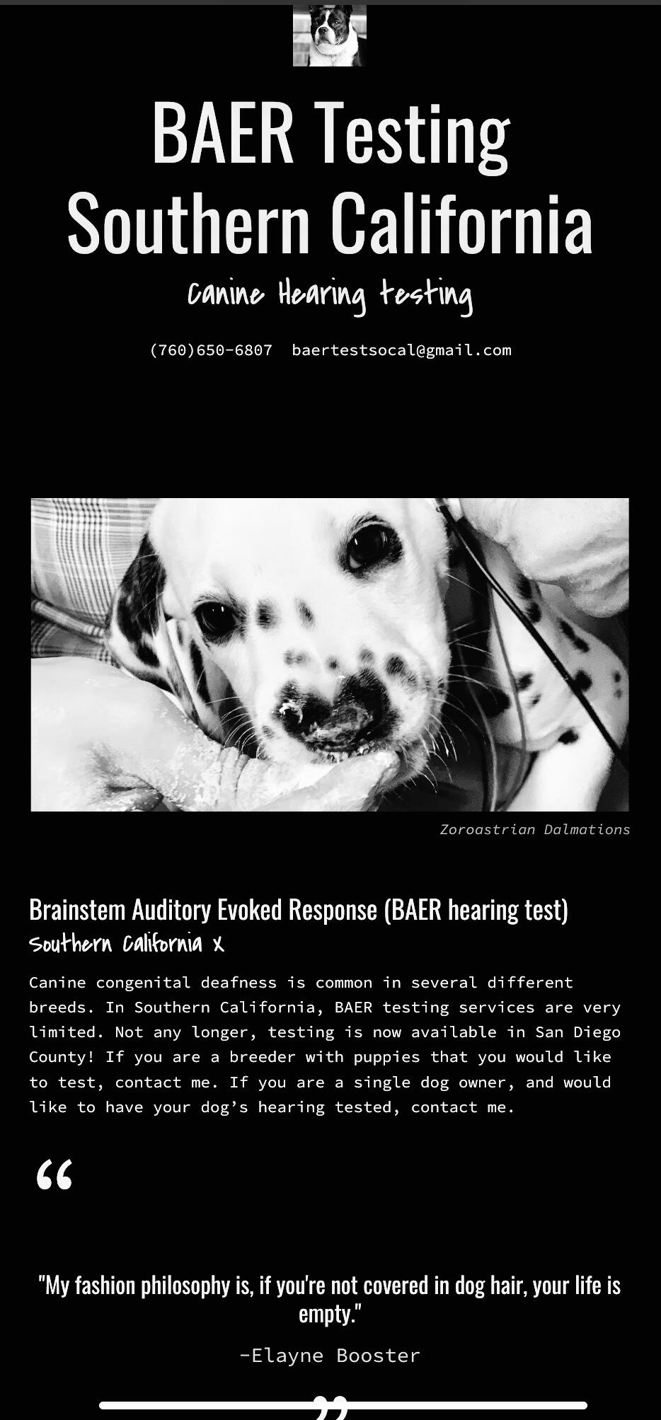What Is A Baer Test For Dogs