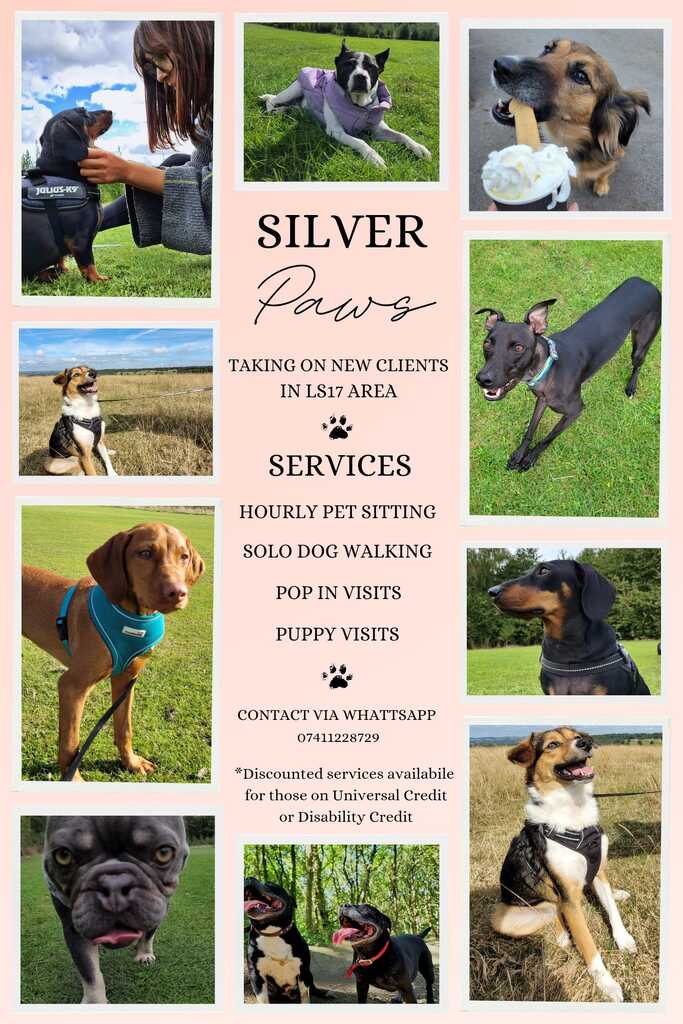 Silver Paws - Nextdoor