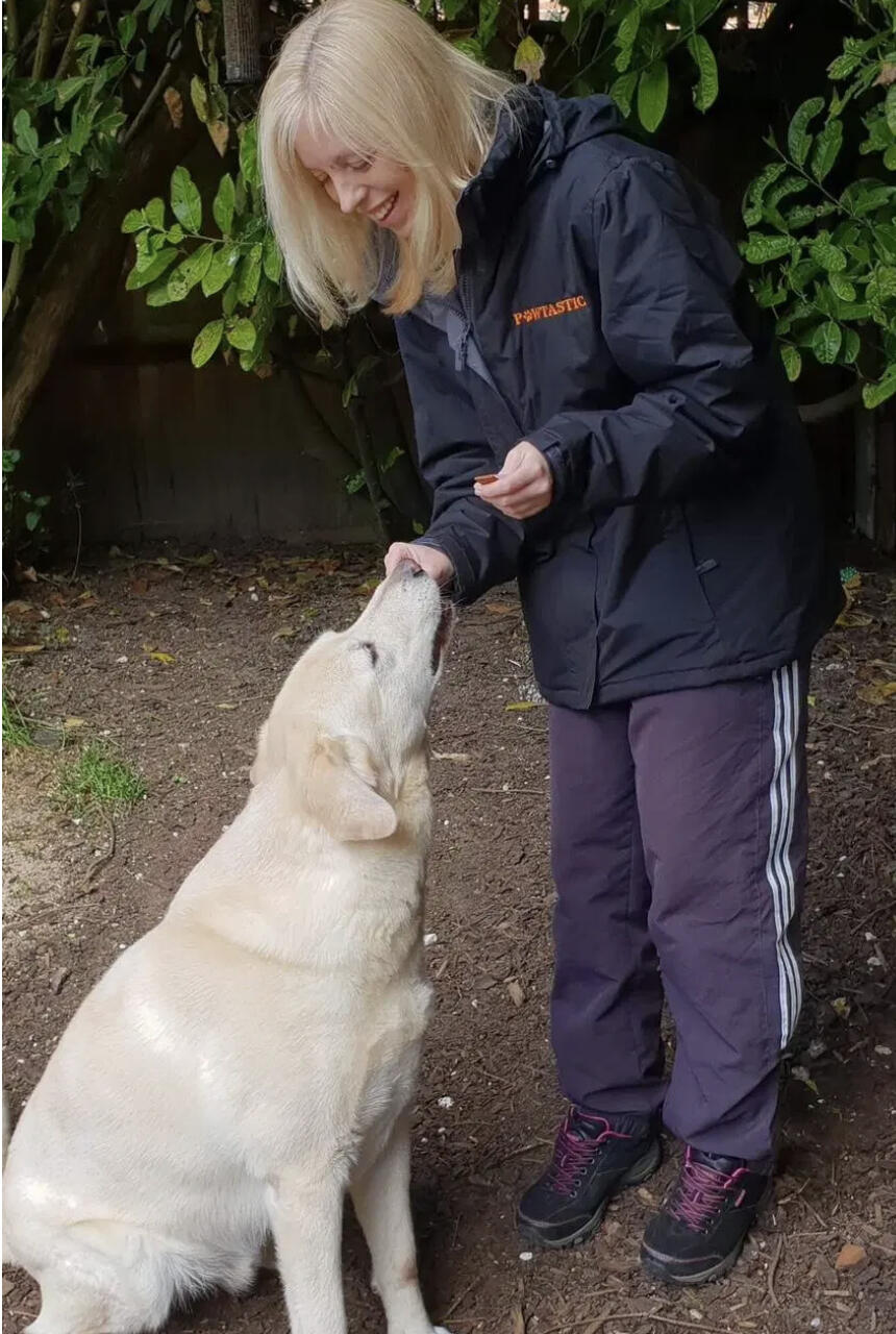 Spaniel Tamer - Nextdoor