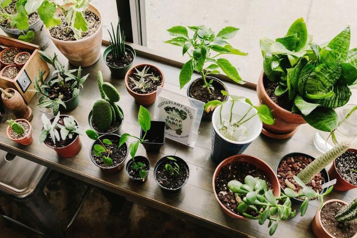 Chesterfield, Chesterfield | Everything You Need to Know