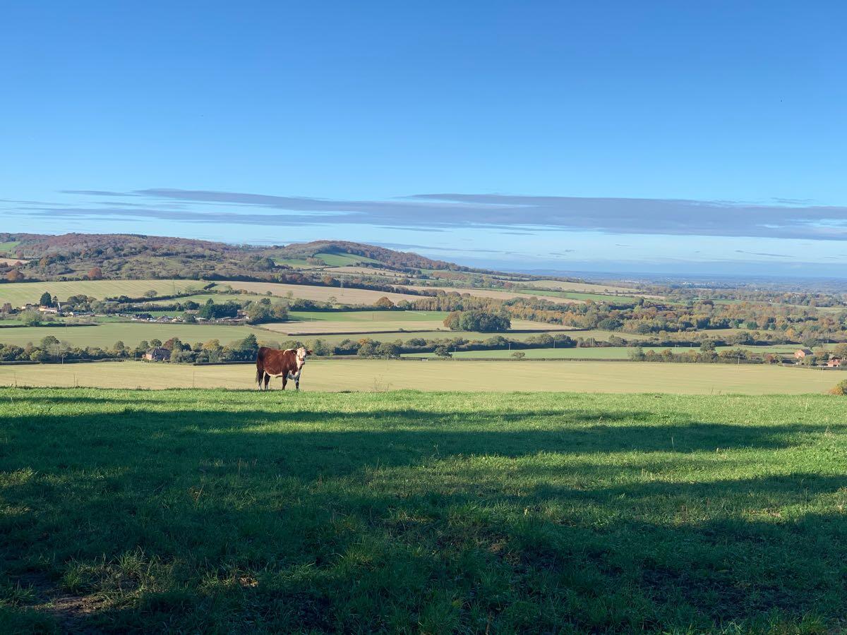 Princes Risborough, Princes Risborough | Everything You Need to Know