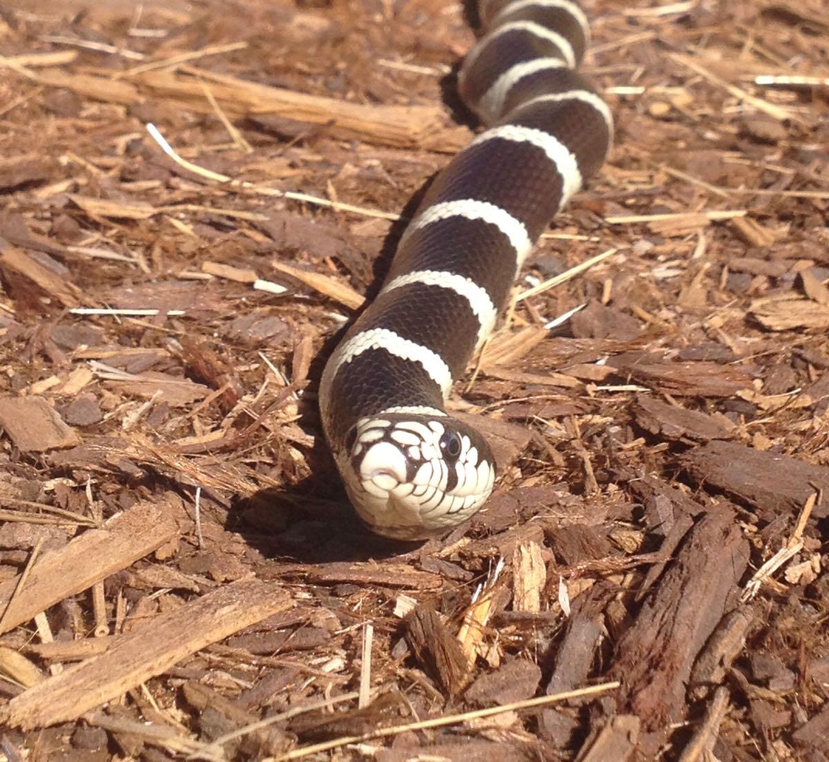 Foothill Ranch, Foothill Ranch | Everything You Need to Know