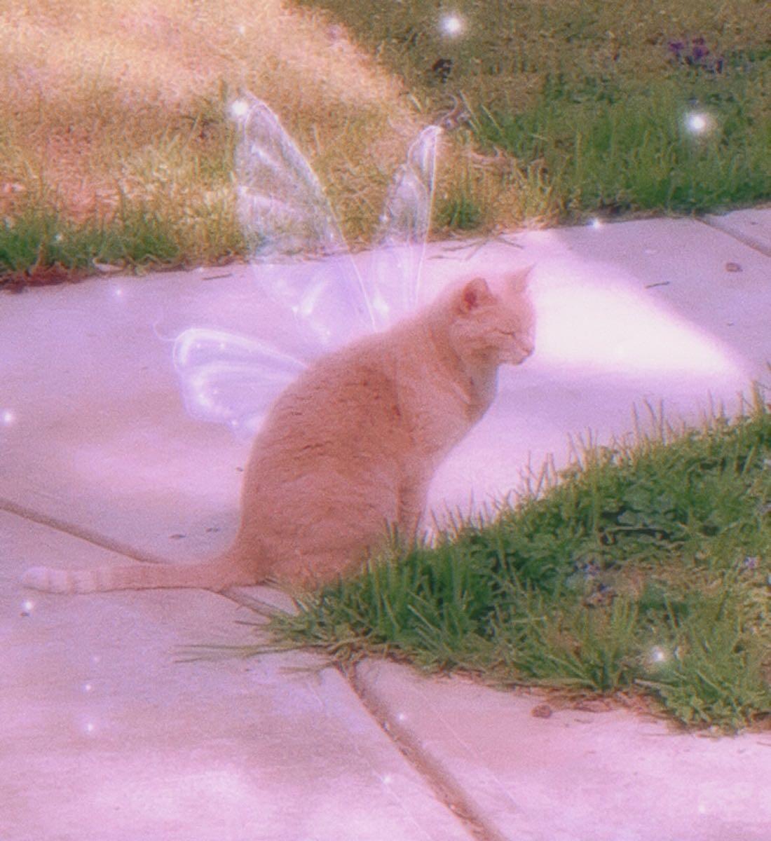 Sinking Spring, Sinking Spring | Everything You Need to Know