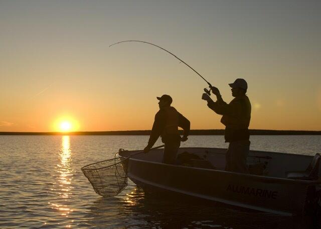 Lake Summerset, Davis | Everything You Need to Know