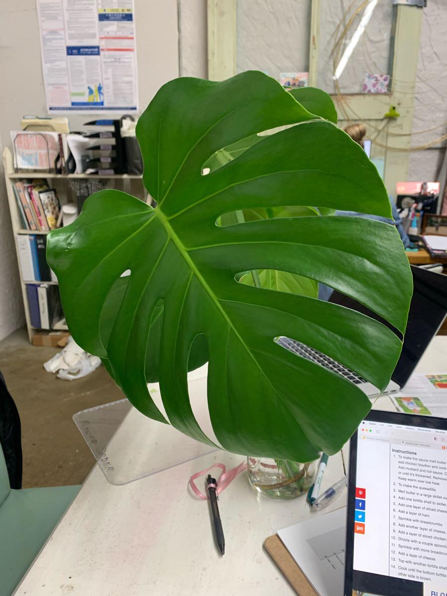 Rural North Boulder, Boulder | Everything You Need to Know